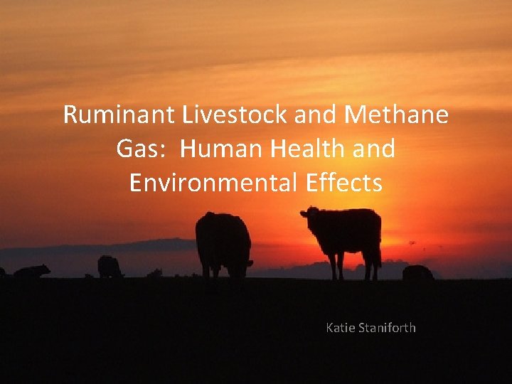 Ruminant Livestock and Methane Gas Human Health and