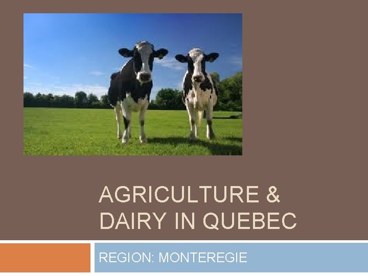 AGRICULTURE DAIRY IN QUEBEC REGION MONTEREGIE Dairy Produce