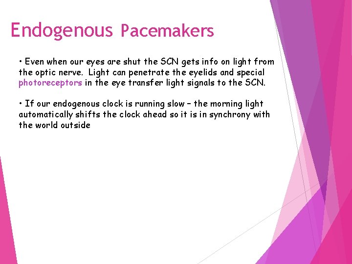 Ez and EP recap Starter capture Rhythm bullet