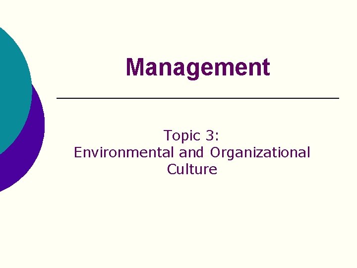 Management Topic 3 Environmental and Organizational Culture Study