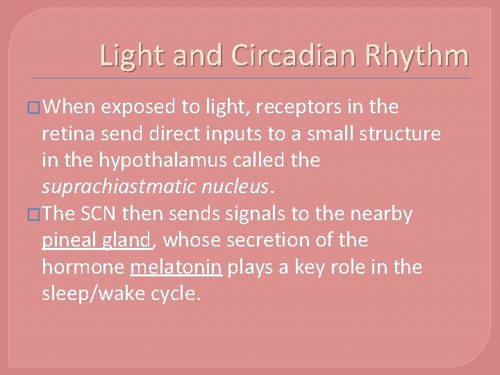 States of Consciousness 2 4 of the AP