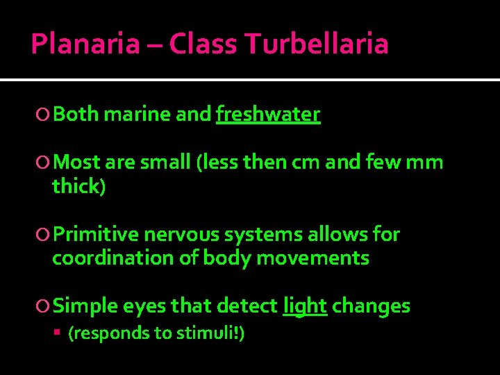 Phylum Platyhelminthes Nematoda Platyhelminthes Flatworms 3 Classes ...