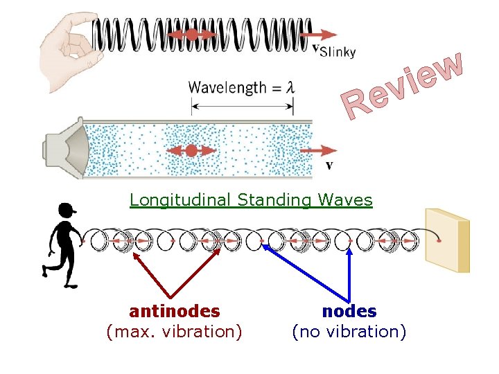 w e i v e R Longitudinal Standing