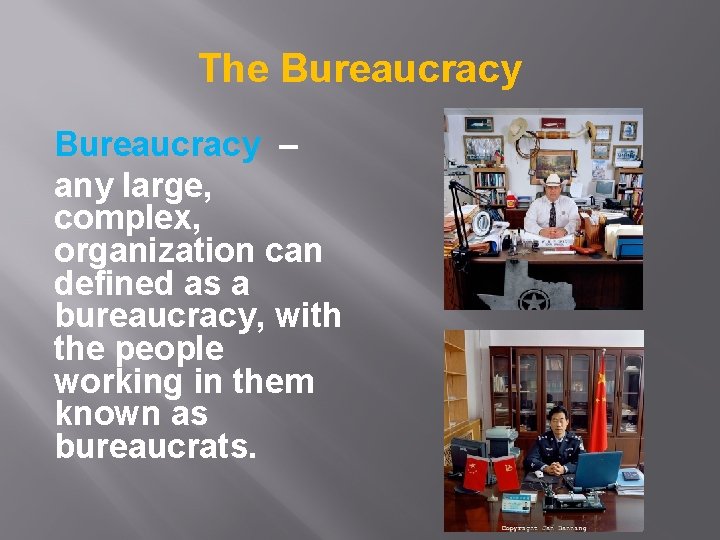 The Bureaucracy The Bureaucracy any large complex organization