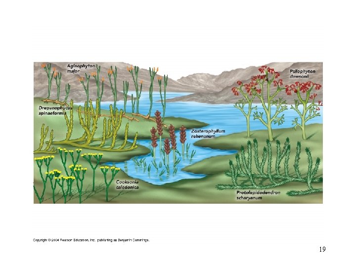 Botany 4 Lecture 33 The Evolution of Plants