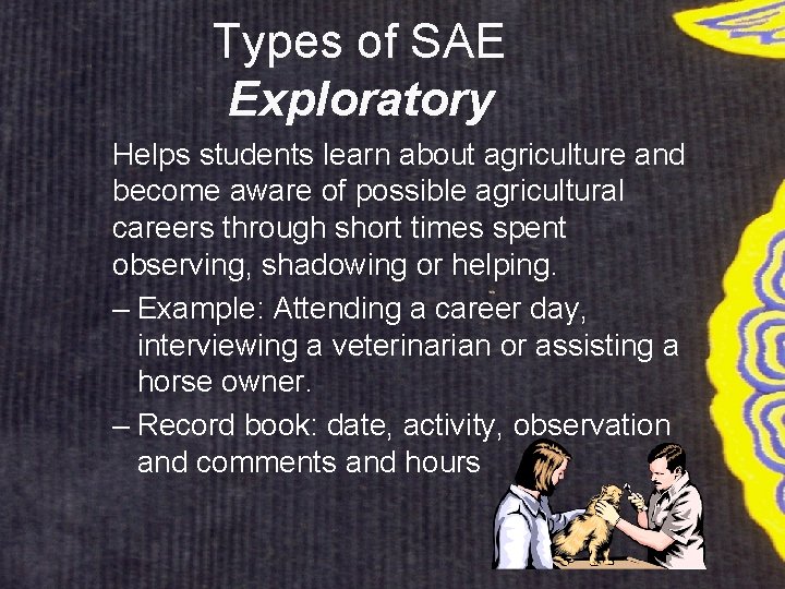 What in the world is SAE SAE Info