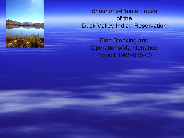 ShoshonePaiute Tribes of the Duck Valley Indian Reservation