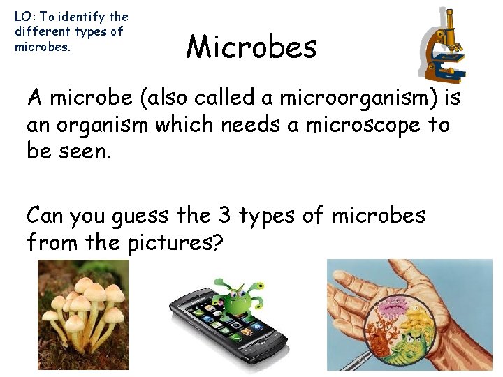 Types of microbes 21 December 2021 Key words