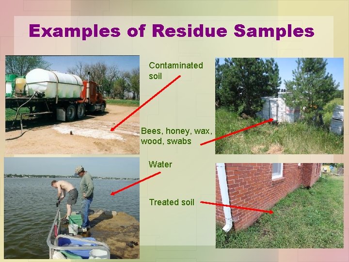 Challenges and Considerations of Field Sampling for Pesticide