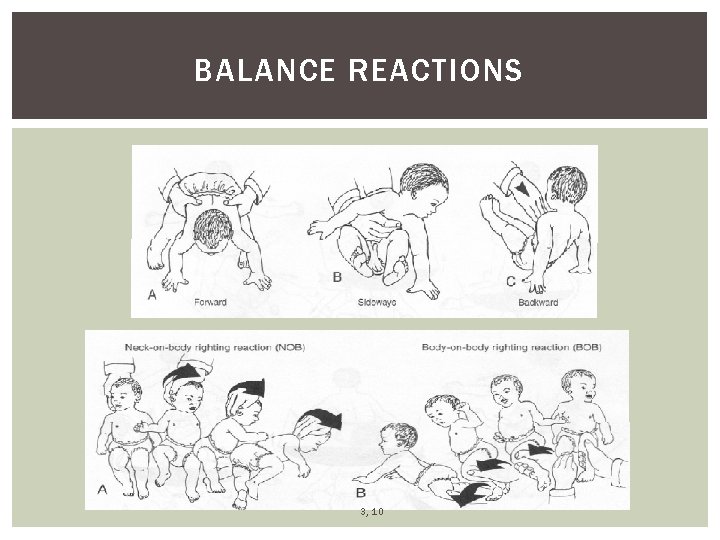 The developmental impact of crawling WHAT IS CRAWLING