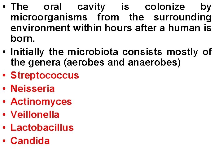 microbiota the oral Normal Vinnitsa National Pirogovof Memorial
