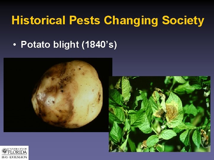 Pest Management and Pesticides a Historical Perspective Fred