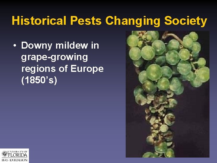 Pest Management and Pesticides a Historical Perspective Fred