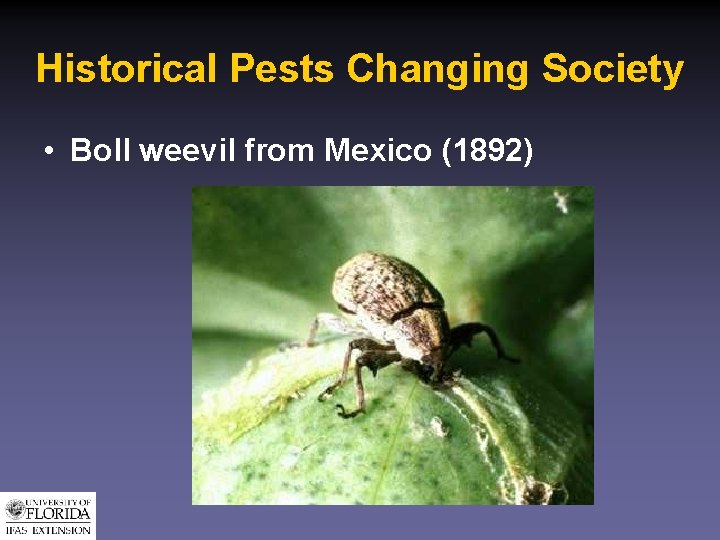 Pest Management and Pesticides a Historical Perspective Fred