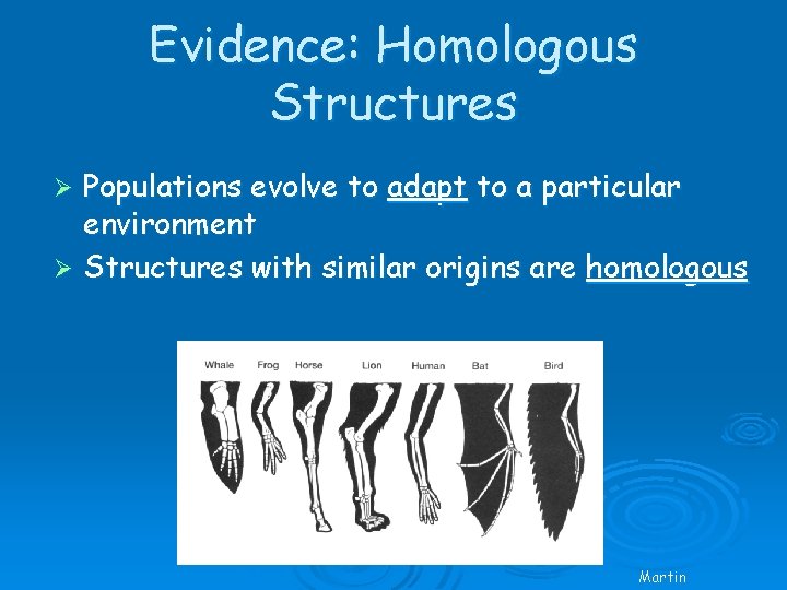EVOLUTION Modern Clues Martin Evidence Fossils show Life