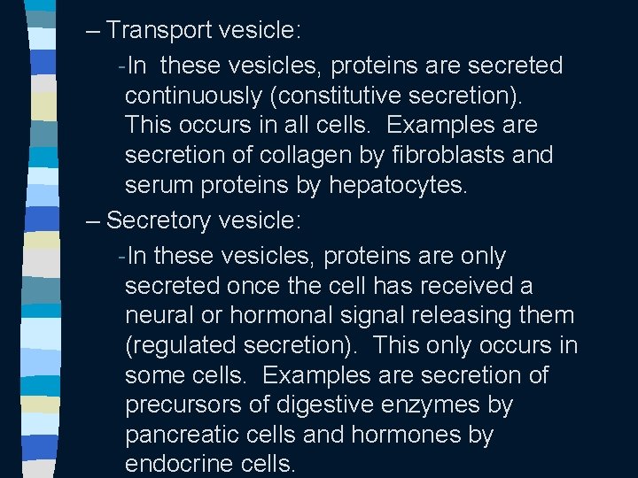 Protein Secretion Sarah Thomas Secretory Pathway n n