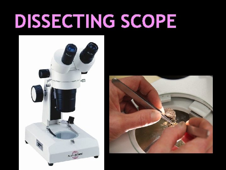 TOPIC MT 10 11 The Basic Unit of