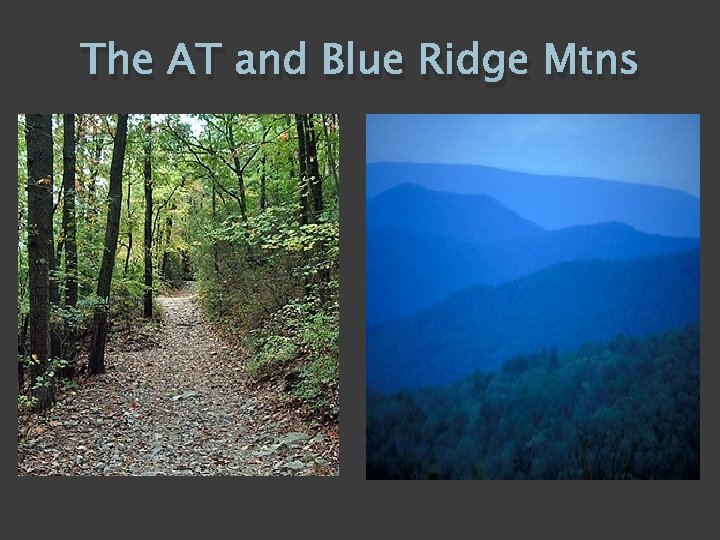 PHYSICAL GEORGIA Regions and Climate Where We Are