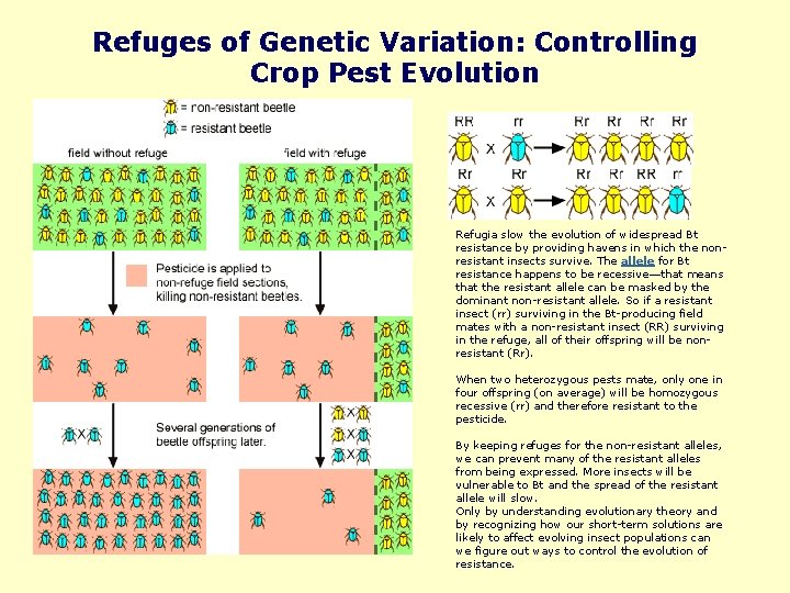 Why Evolution matters In agriculture and Economics 1
