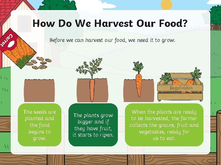 What is Harvest Festival A harvest festival is