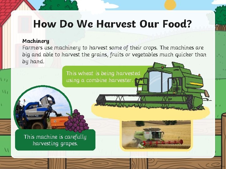 What is Harvest Festival A harvest festival is