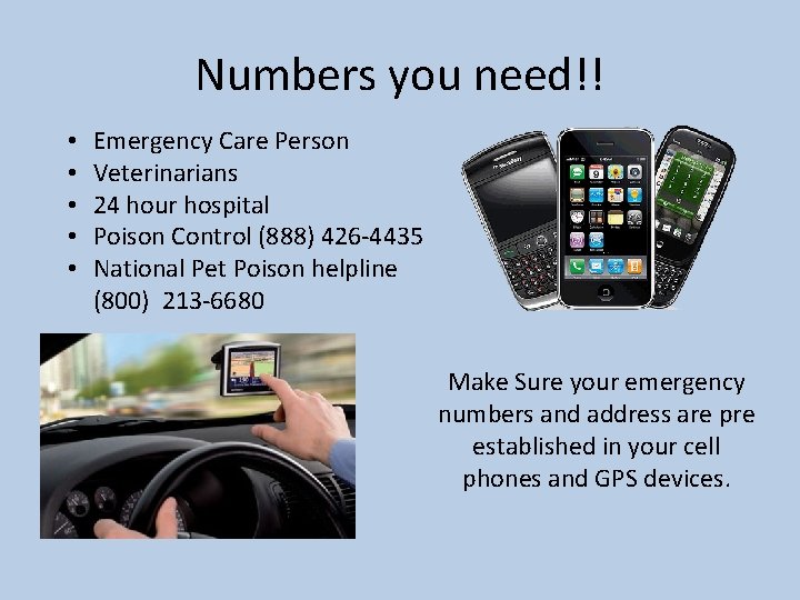 Hosted by Palomar Mountain FD Numbers you need