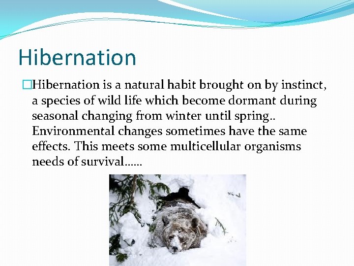 Basics of Ecology By Steven Catalanotto Matthew Granillo