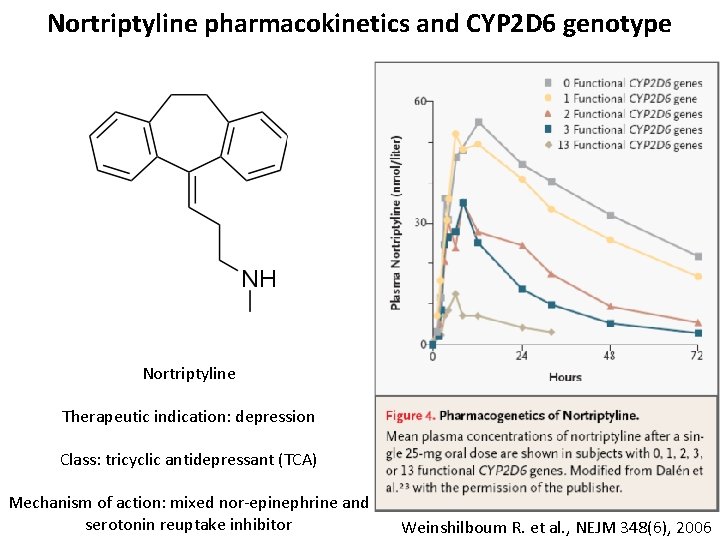 Nortriptyline pharmacokinetics and CYP 2 D 6 genotype