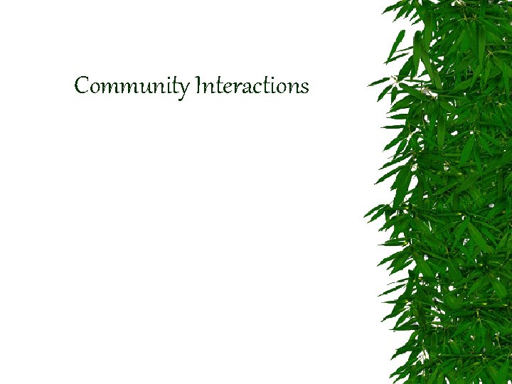 Community Interactions Community Interactions when organisms live together