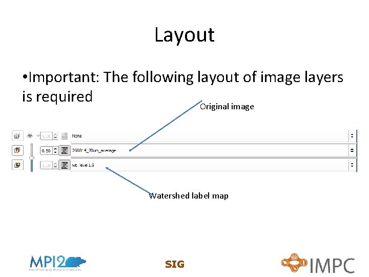 Segmentation training Watershed Annotation and Segmentation Plugin WASP