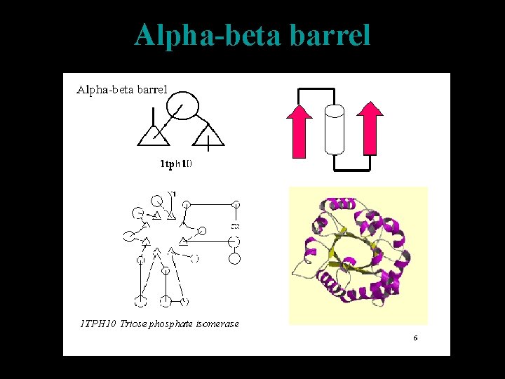Bioinformatics master course DNAProtein structurefunction analysis and ...