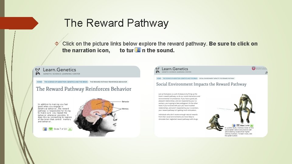 The Biological Basis of Thought Resource Power Point