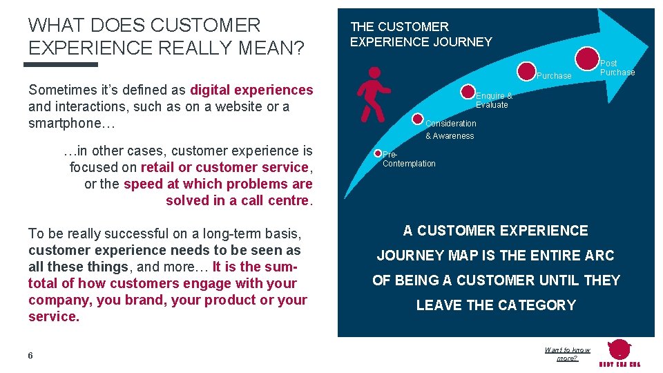 CUSTOMER EXPERIENCE JOURNEY MAPS A BETTER FRAMEWORK Prepared