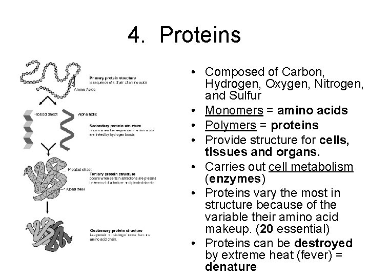 1 Carbohydrates Organic Carbon Organic compound composed of