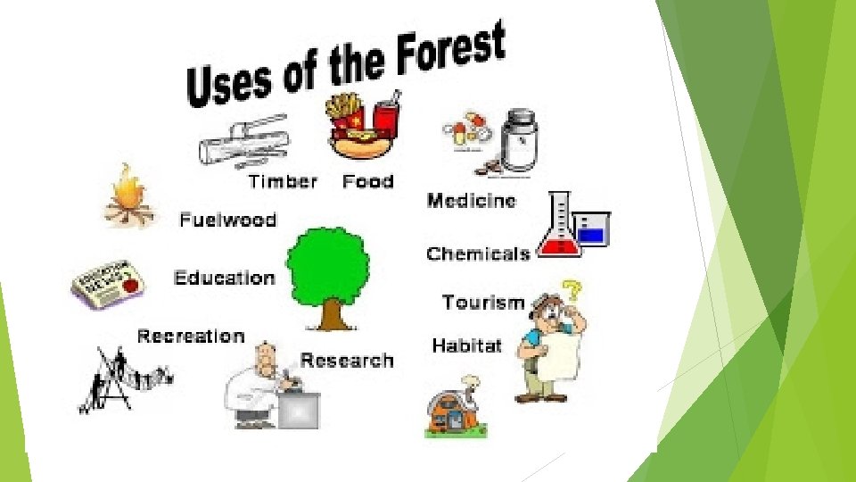 GEOGRAPHY LESSON 2 LAND SOIL WATER NATURAL VEGETATION