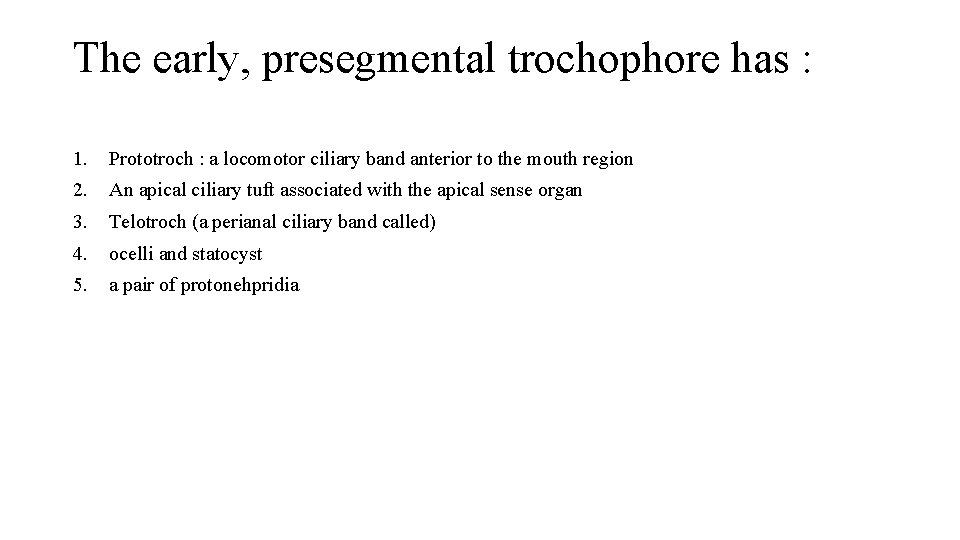 Trochophore Larva Trochophore Gr Trochos wheel phoros bear