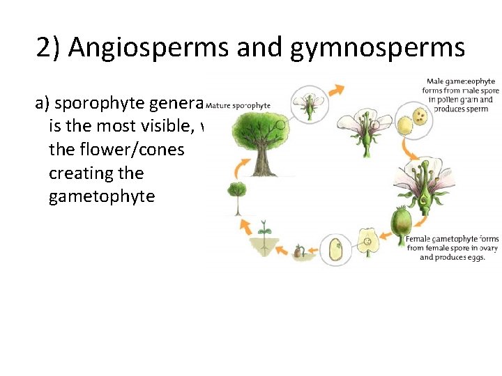 Plant Reproduction and Biotechnology Chapter 38 I Sexual