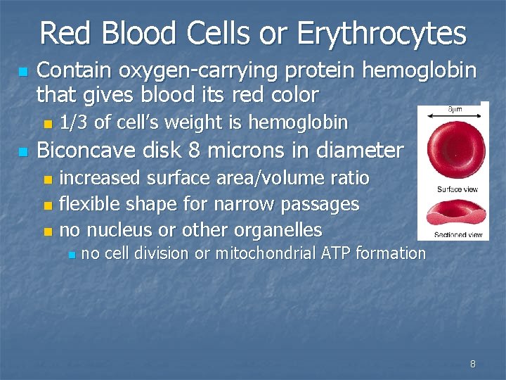 Chapter 21 The Cardiovascular System The Blood 1