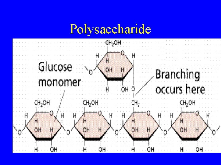Biochemistry Notes Carbon Organic molecules contain carbon Carbon