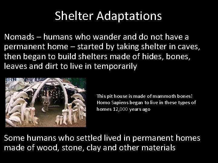 Early Human Migration Migration and the Ice Age