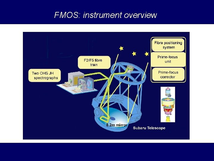 Overview of Fibre Multi Object Spectrograph project for