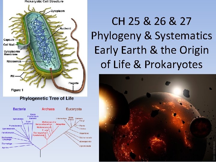 CH 25 26 27 Phylogeny Systematics Early Earth