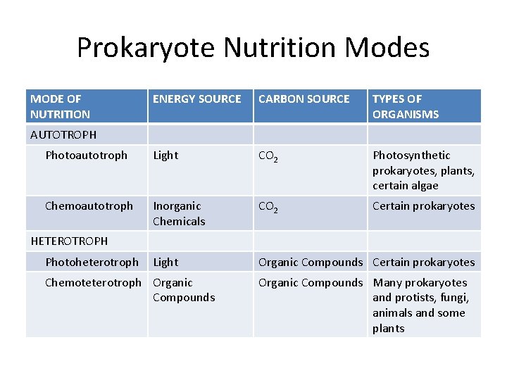 Prokaryotes Ch 27 Lesson 8 2 Fast Facts