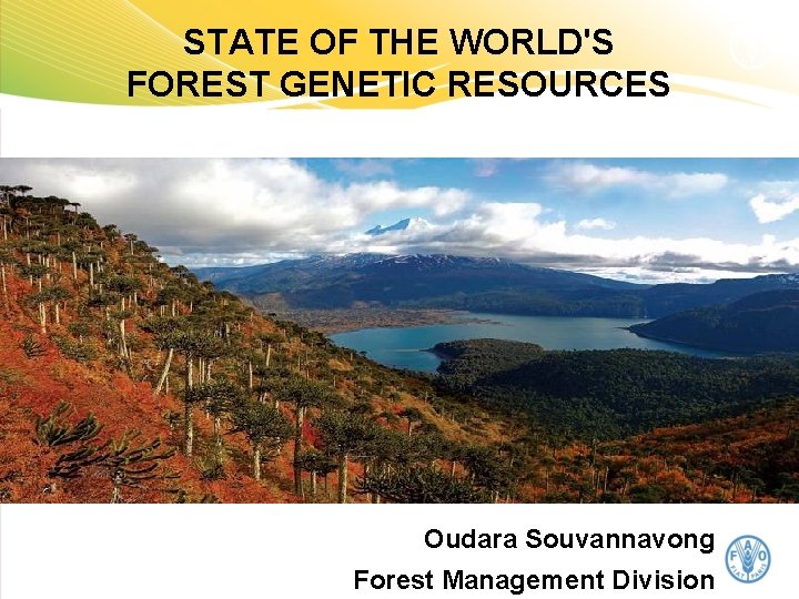 STATE OF THE WORLDS FOREST GENETIC RESOURCES Oudara