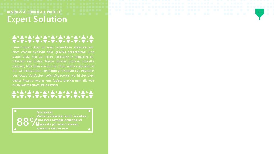 BUSINESS CORPORATE PROJECT Expert Solution Lorem ipsum dolor