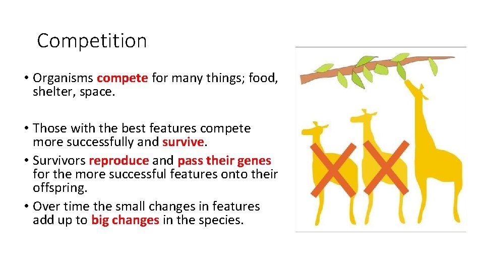 L 1 Natural Selection Learning Objectives 1 Describe