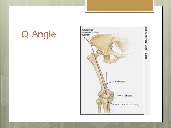 The Knee Angie Guggino MS ATC LAT Learning