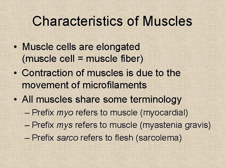 Characteristics of Muscles Muscle cells are elongated muscle