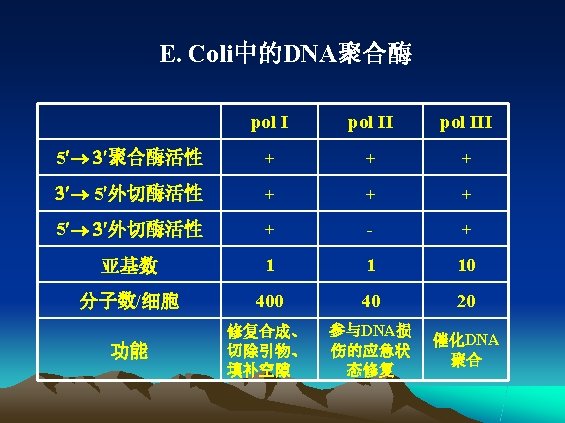Transmission of Genetic Information DNA DNA BiosynthesisReplication DNA