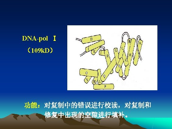 Transmission of Genetic Information DNA DNA BiosynthesisReplication DNA